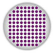 FLUOstar Omega Multimode Microplate Reader by BMG LabTech