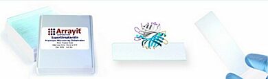 SuperStreptavidin Substrate Slides (Box of 25) 3031-73