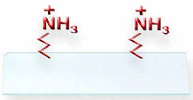 SuperAmine 2 Ultra Low Density (Box of 25) 3031-49-ULD