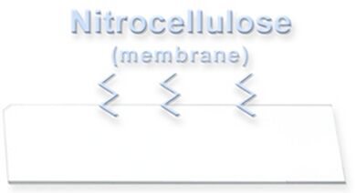SuperNitro Substrate Slides (Box of 5) 3031-76-F