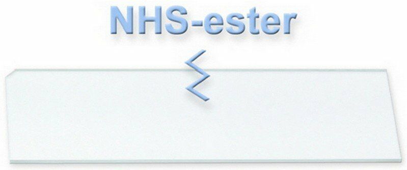 SuperNHS Microarray Substrate Slides, Box of 5 3031-60-F